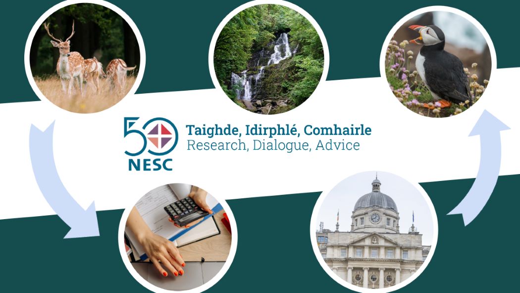 Natural Capital Accounting: A Guide for Action | The National Economic and Social Council - Ireland