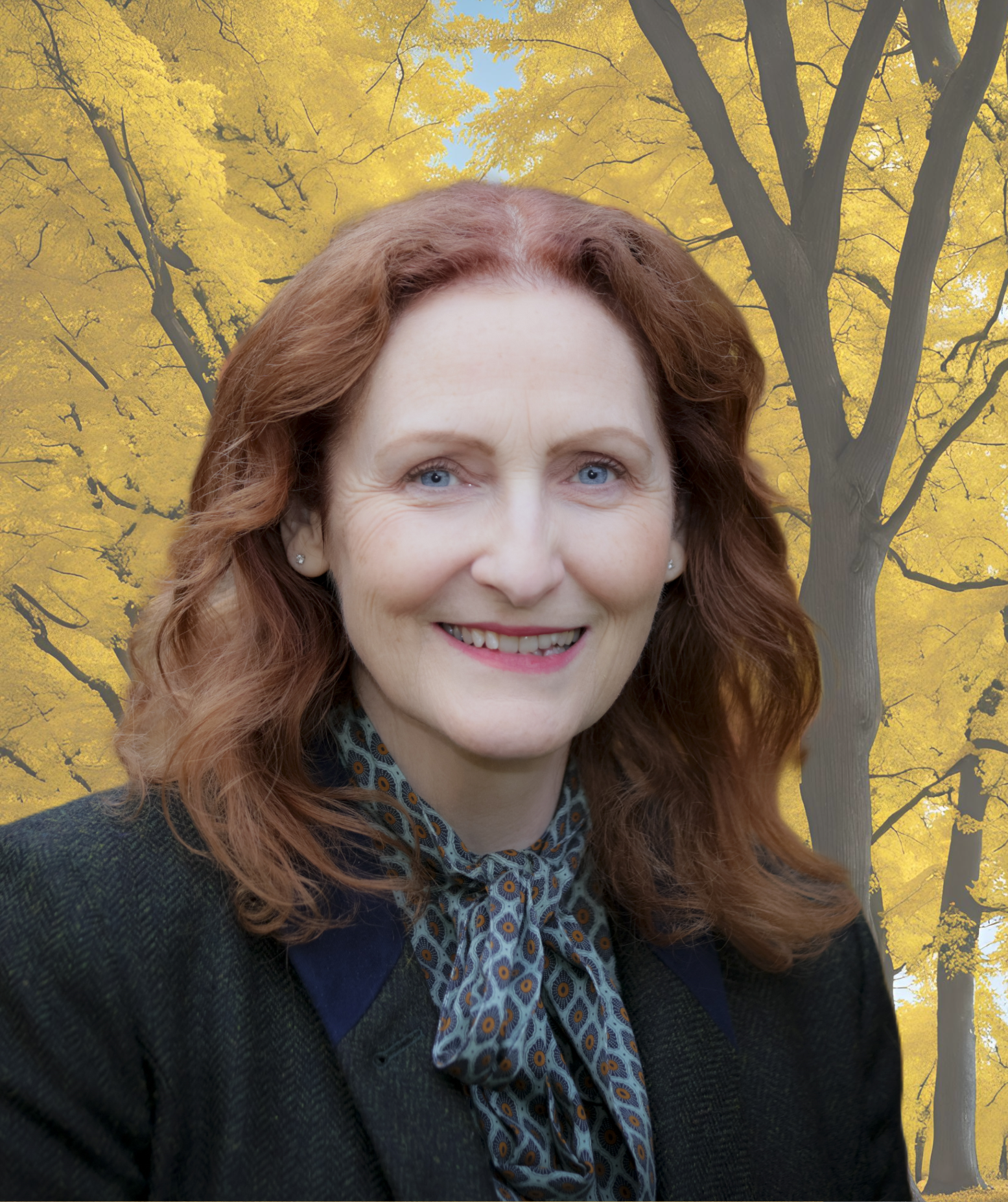 Siobhán O'Sullivan - National Economic & Social Council